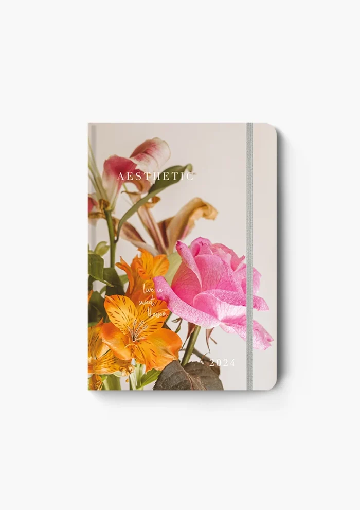 AESTHETIC ΗΜΕΡΗΣΙΟ ΗΜΕΡΟΛΟΓΙΟ 12x17 - Write Your Future