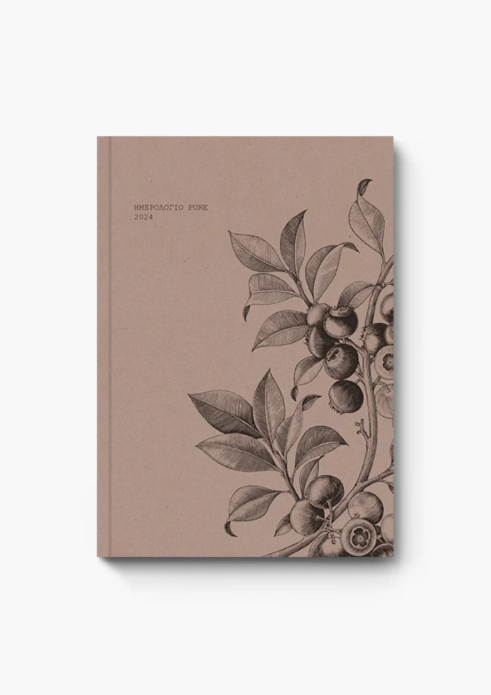 PURE ΗΜΕΡΗΣΙΟ ΗΜΕΡΟΛΟΓΙΟ 17x25 - Write Your Future