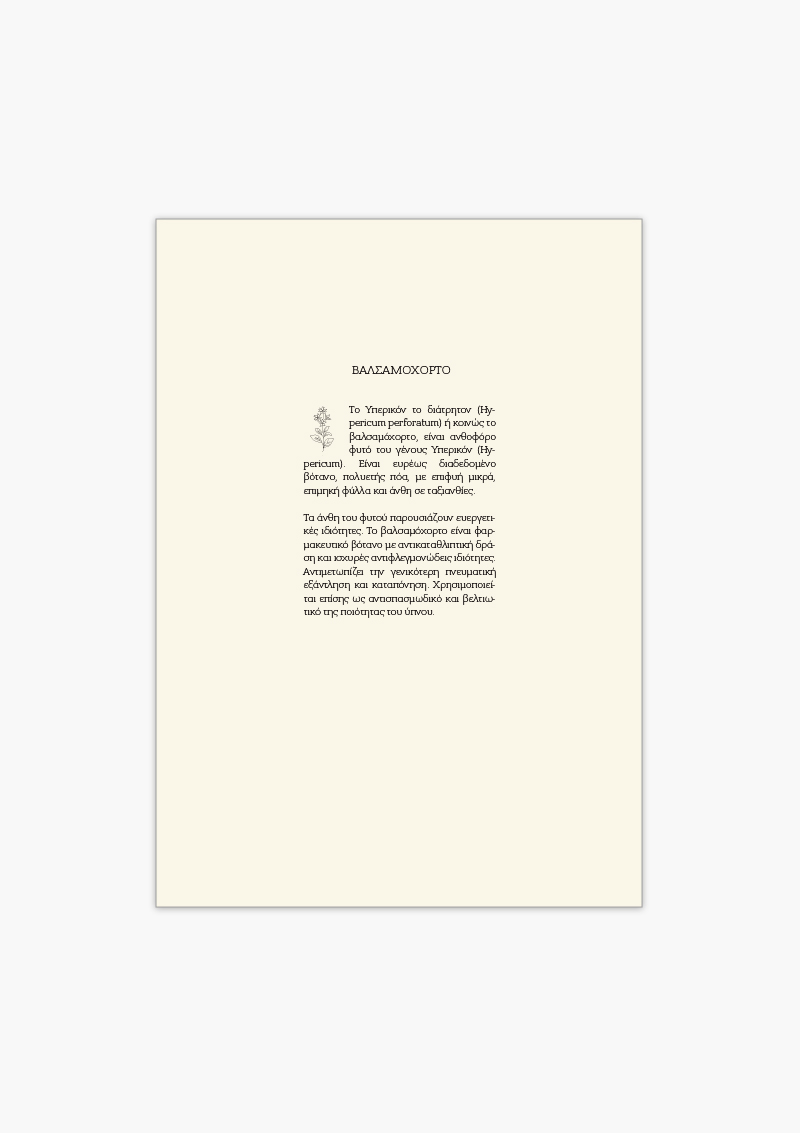 BOTANICAL ΕΒΔΟΜΑΔΙΑΙΟ ΗΜΕΡΟΛΟΓΙΟ 17×25 – Write Your Future